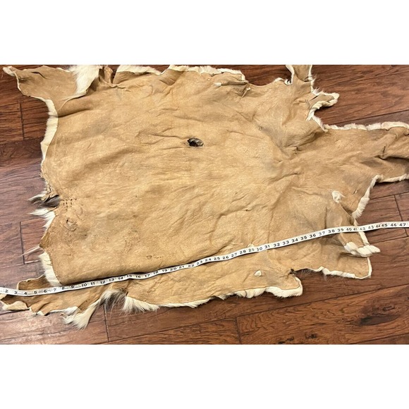 Unbranded | Other | Taxidermy Tanned Large Fallow Deer Skin Rustic ...